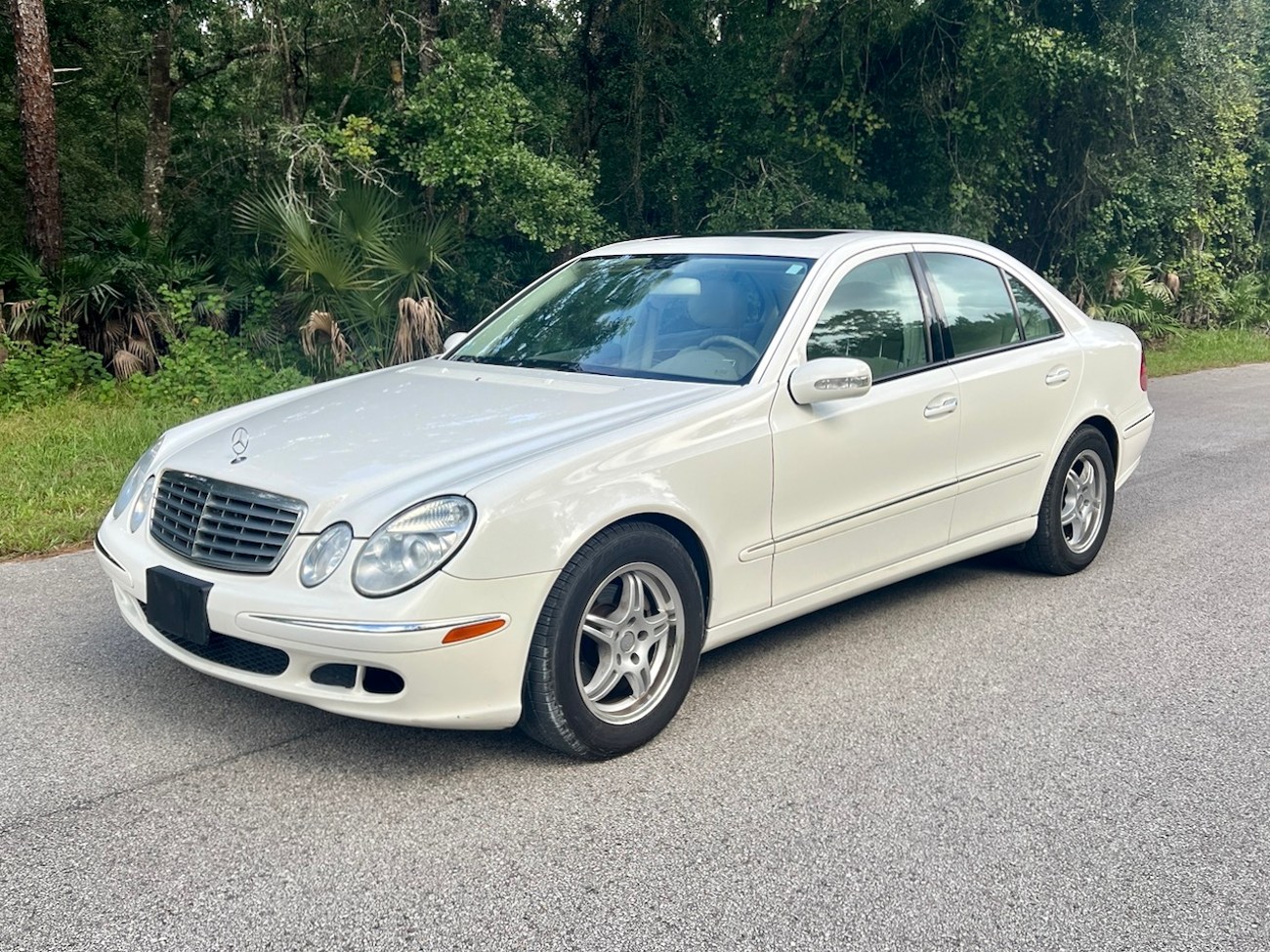 NO RESERVE: 2006 Mercedes-Benz E320 CDI For Sale | The MB Market