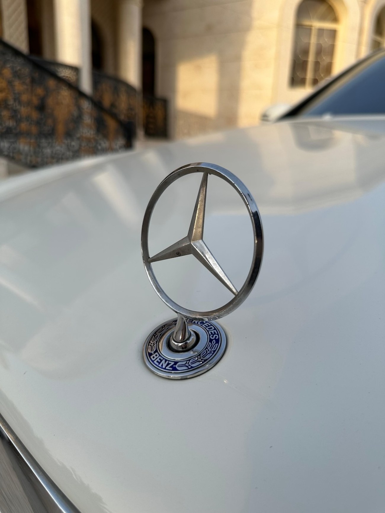 56k-Mile 2004 Mercedes-Benz S65 AMG For Sale | The MB Market