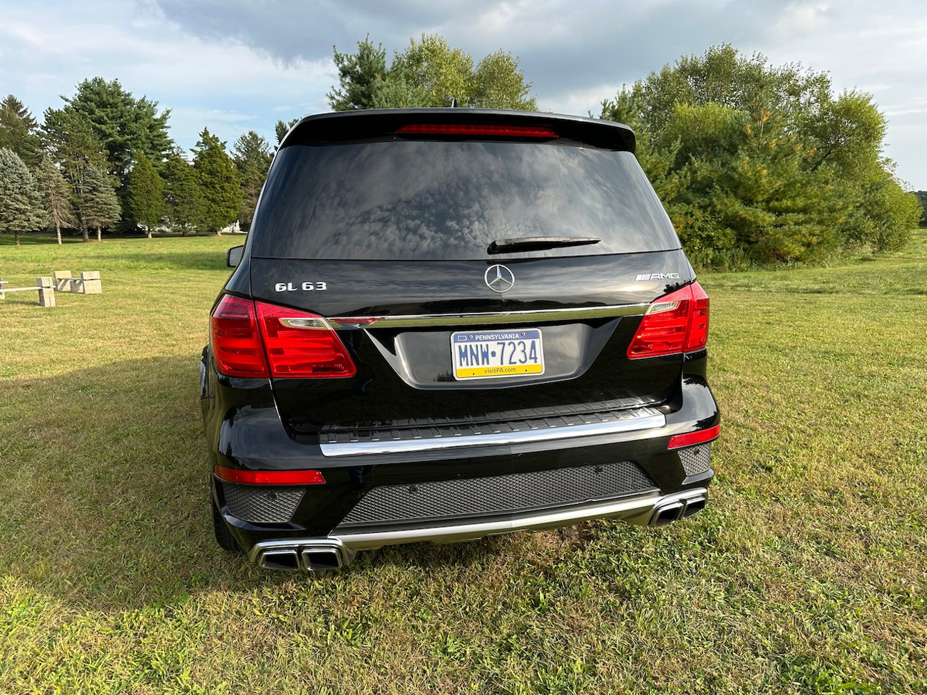 2014 Mercedes-Benz GL63 AMG For Sale | The MB Market