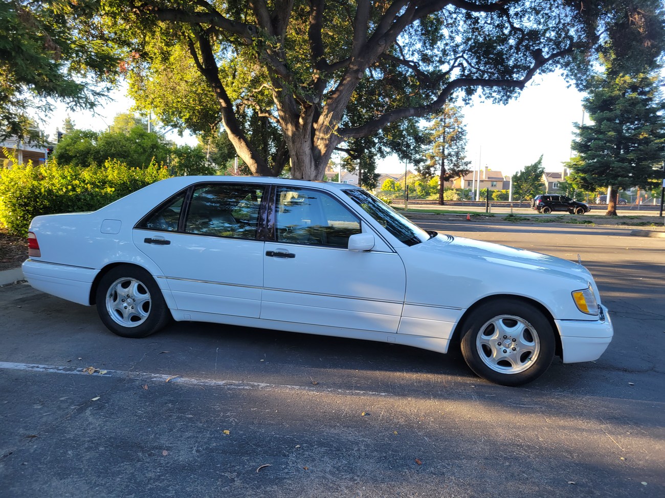 1998 Mercedes-Benz S320 LWB w/81k Miles For Sale | The MB Market