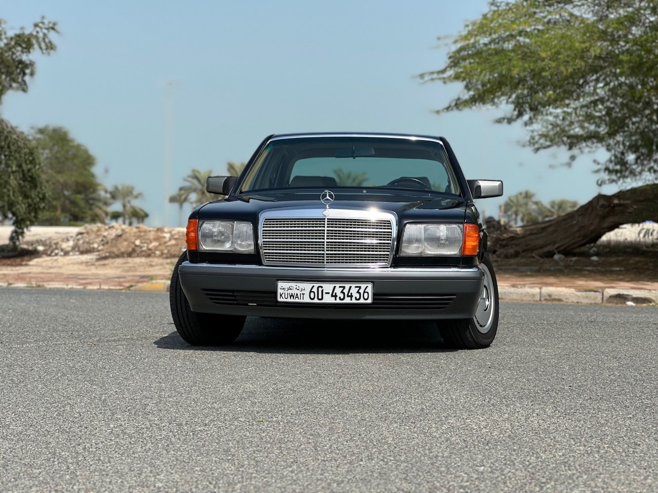 21k-Mile 1988 Mercedes-Benz 260SE For Sale | The MB Market