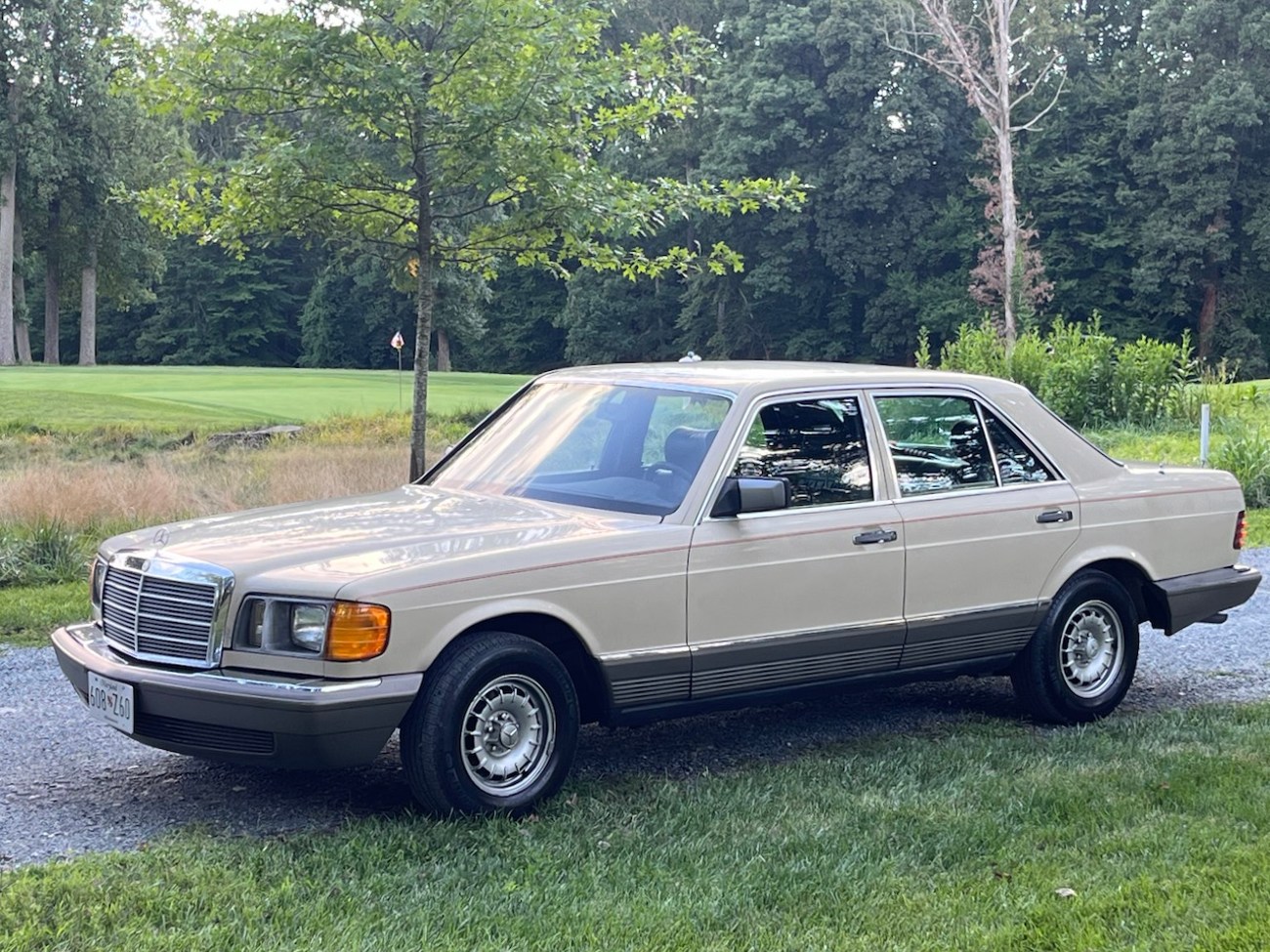1982 Mercedes-Benz 300SD For Sale | The MB Market