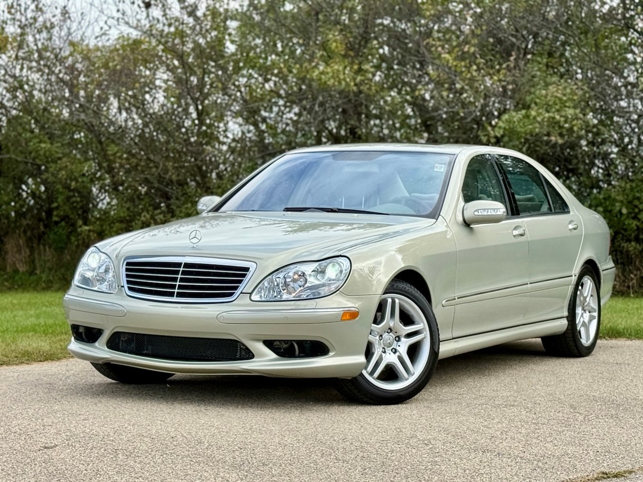 2006 Mercedes-Benz S500 designo Silver Edition For Sale | The MB Market