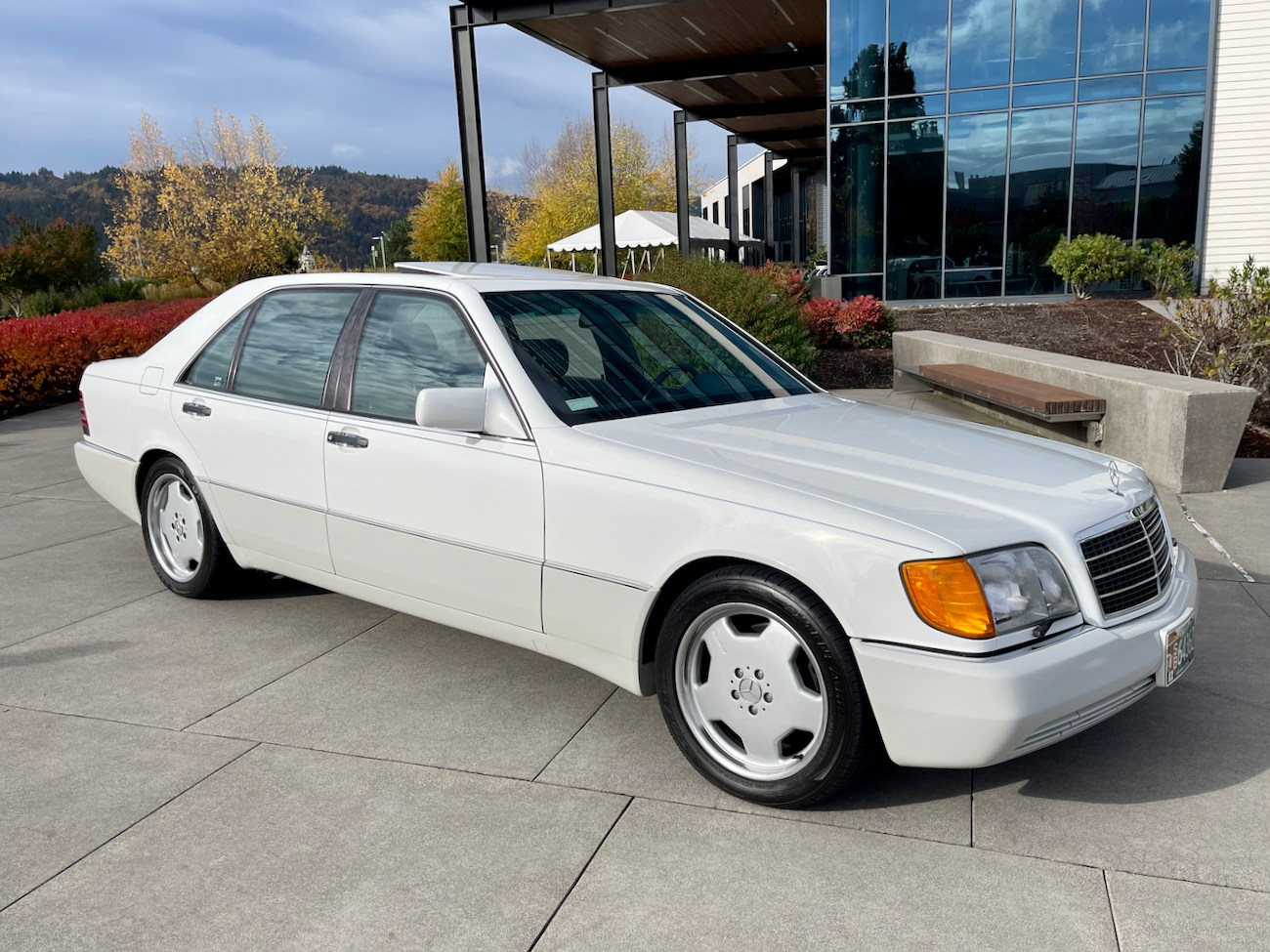 23k-Mile 1994 Mercedes-Benz S500 For Sale | The MB Market