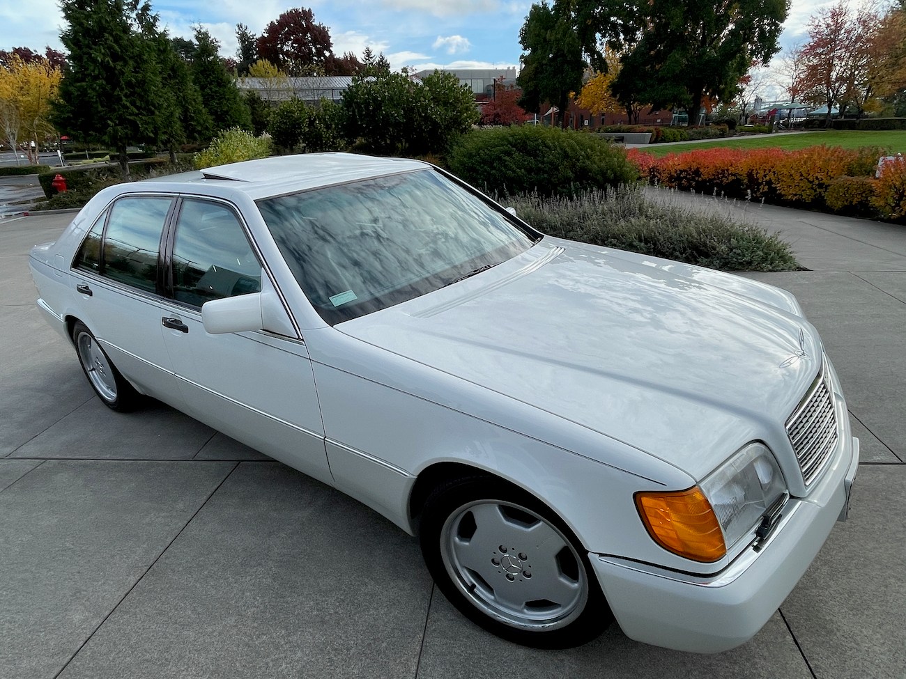 23k-Mile 1994 Mercedes-Benz S500 For Sale | The MB Market