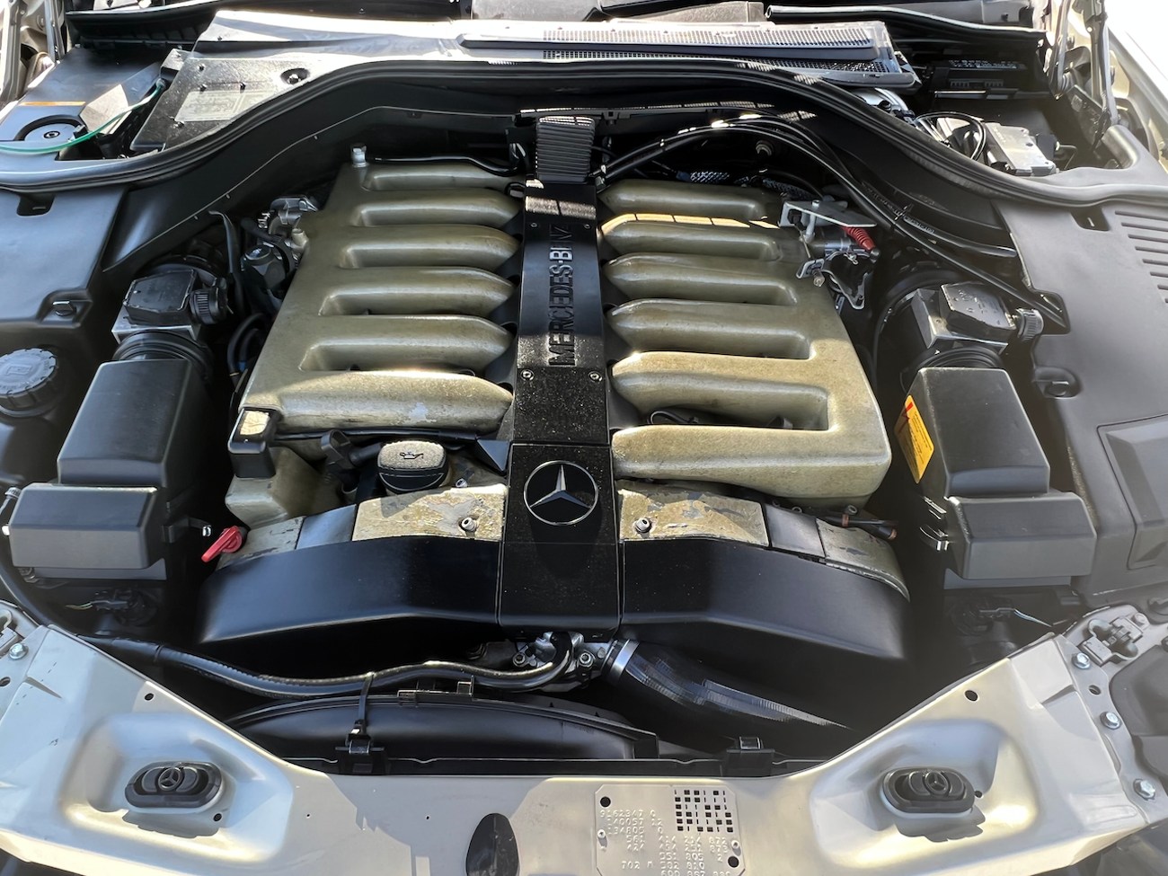 NO RESERVE: 1995 Mercedes-Benz S600 For Sale | The MB Market