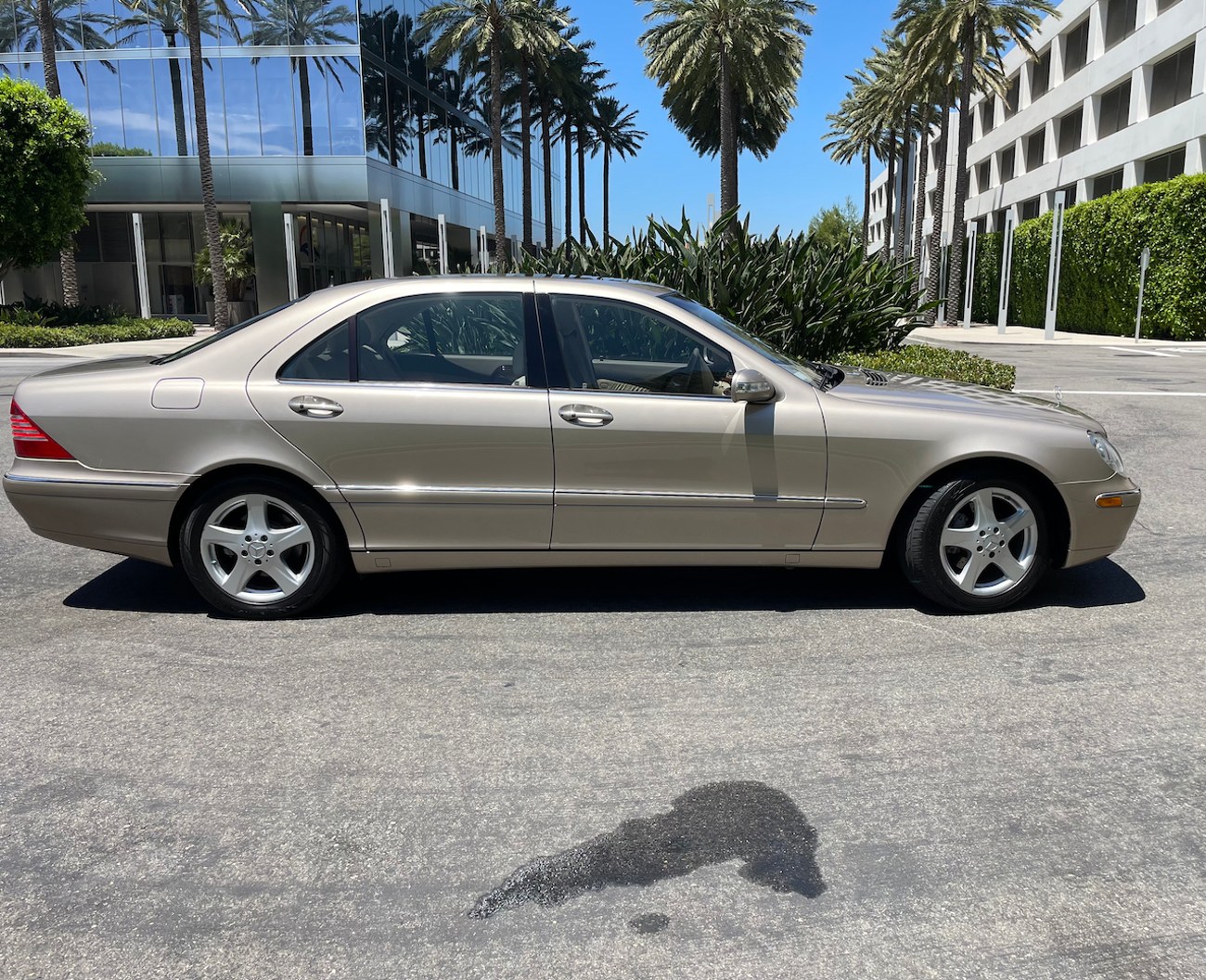 2004 Mercedes-Benz S500 For Sale | The MB Market