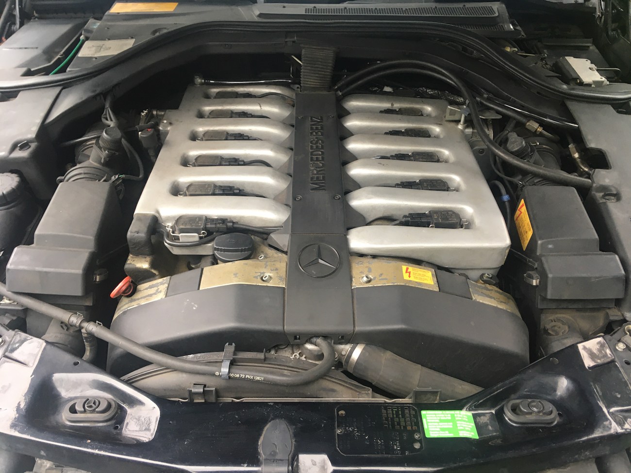 One-Family Owned 1999 Mercedes-Benz S600 For Sale | The MB Market