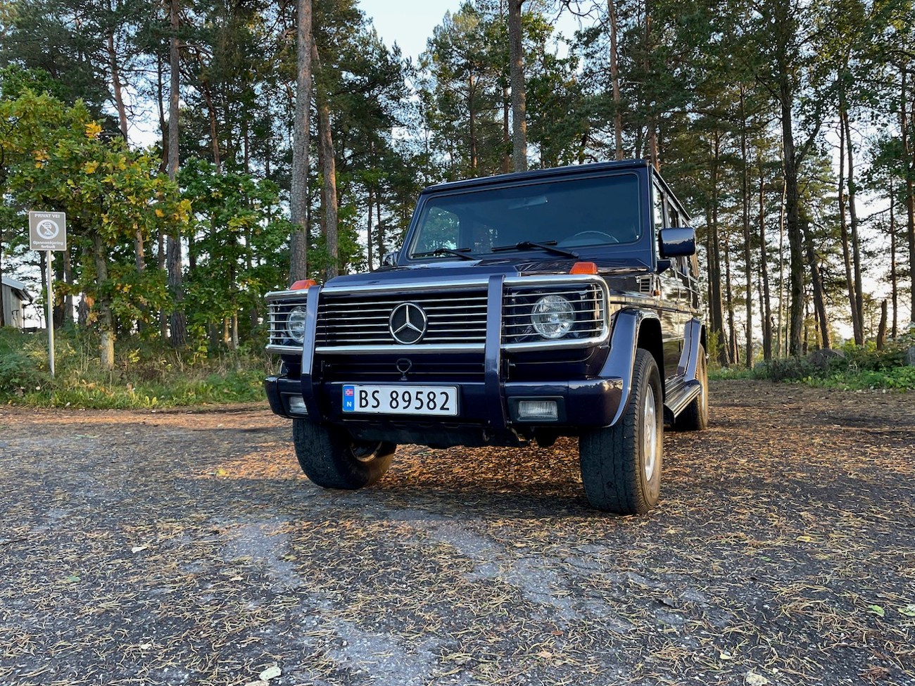 1993 Mercedes-Benz 500GE For Sale | The MB Market