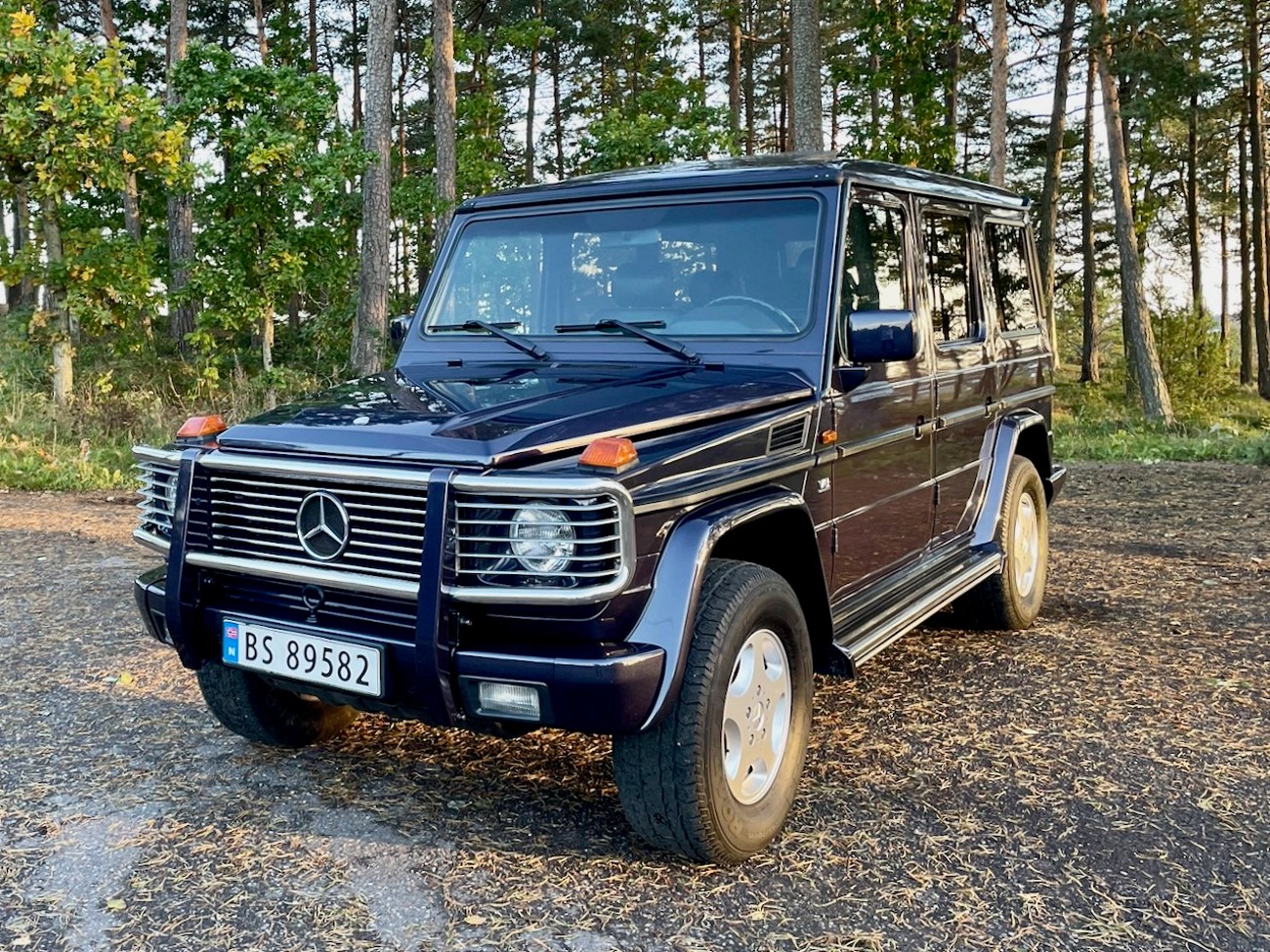 1993 Mercedes-Benz 500GE For Sale | The MB Market