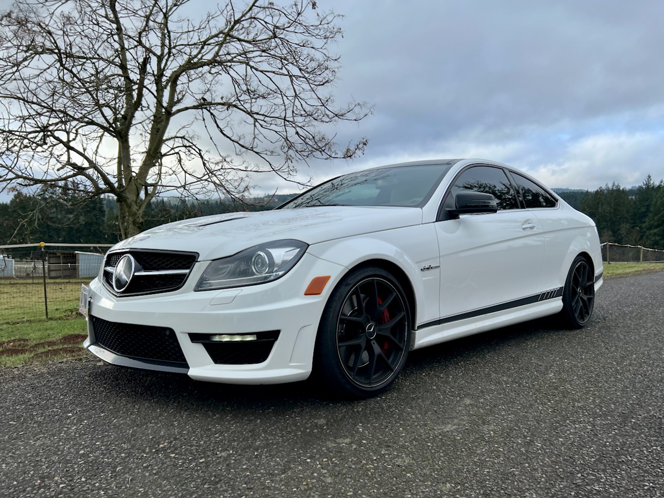 2014 Mercedes-Benz C63 AMG Coupe Edition 507 For Sale | The MB Market