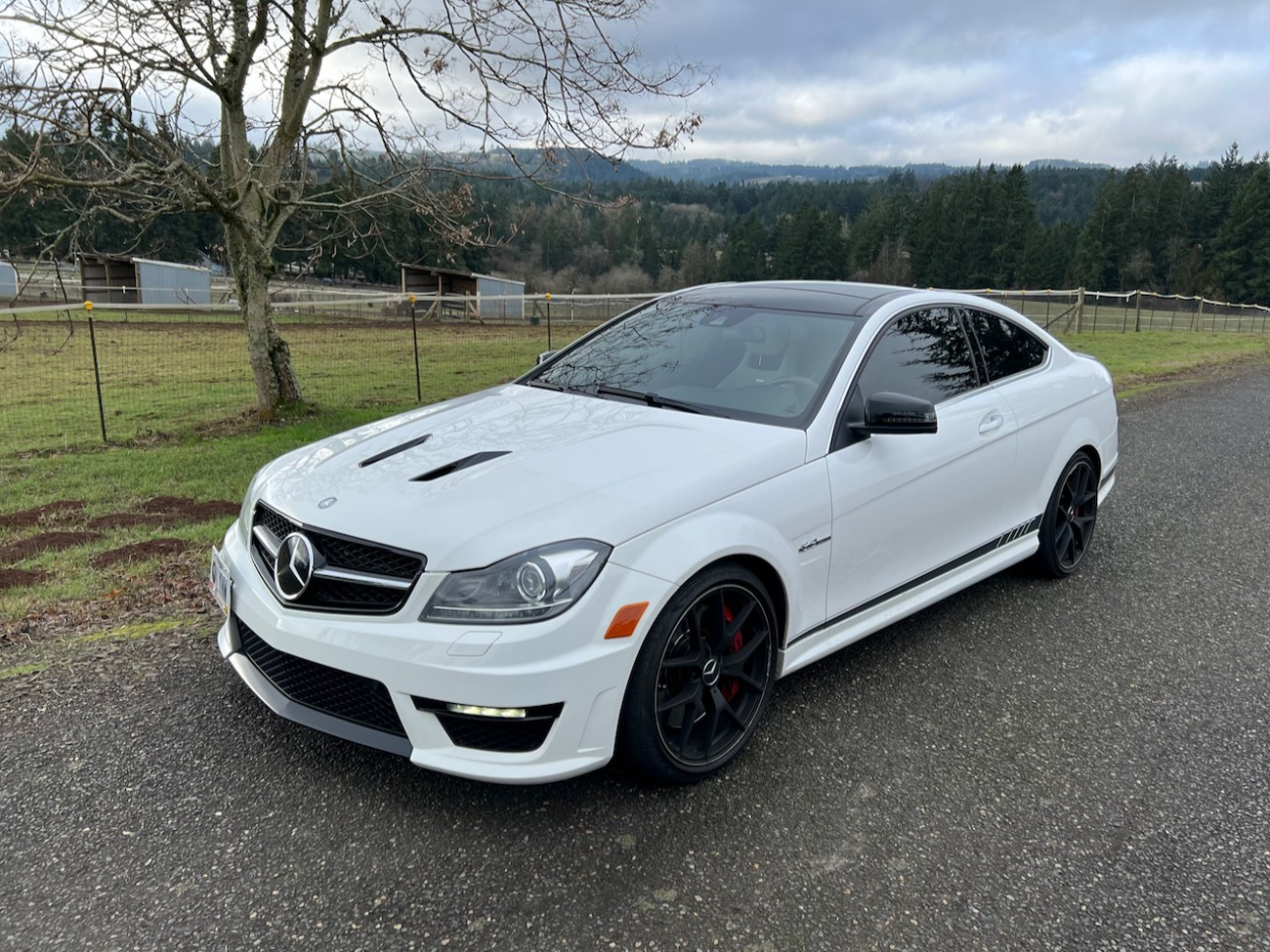 2014 Mercedes-Benz C63 AMG Coupe Edition 507 For Sale | The MB Market