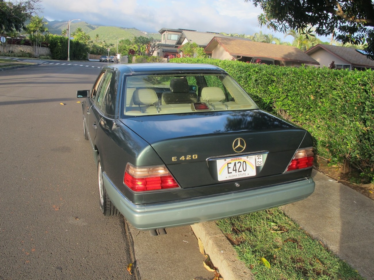 1994 Mercedes-Benz E420 For Sale | The MB Market