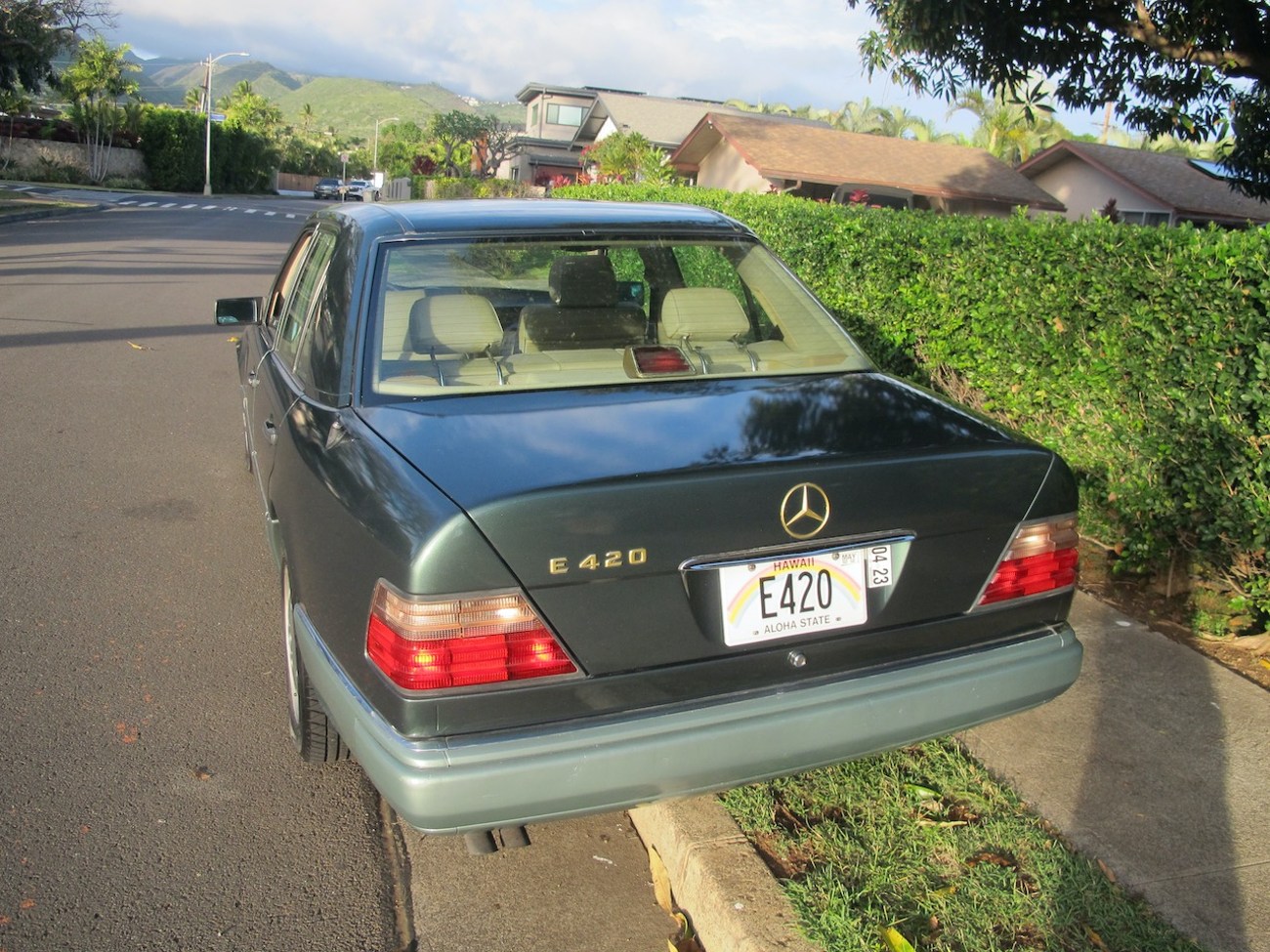 1994 Mercedes-Benz E420 For Sale | The MB Market