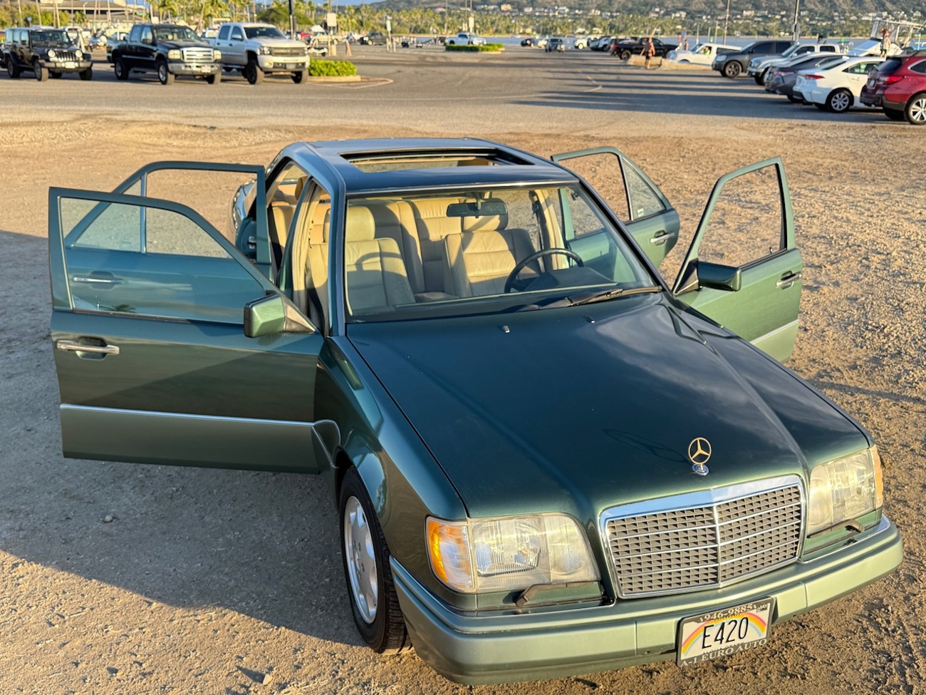 1994 Mercedes-Benz E420 For Sale | The MB Market