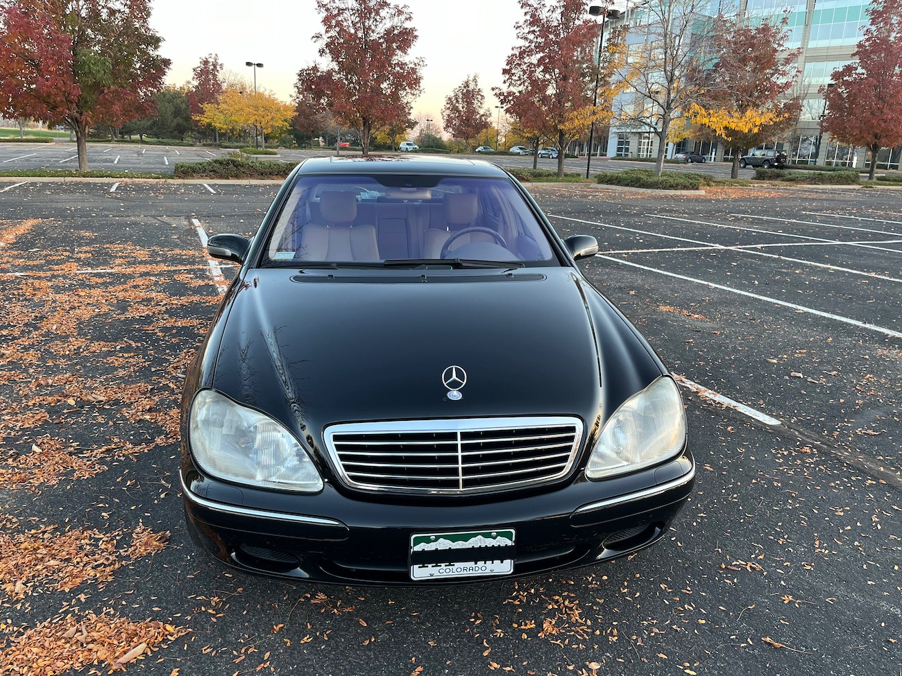 2002 Mercedes-Benz S500 w/55k Miles For Sale | The MB Market