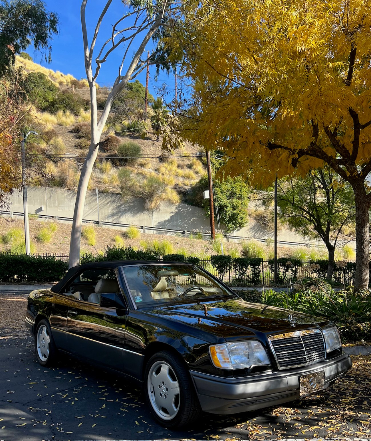 1995 Mercedes-Benz E320 Cabriolet For Sale | The MB Market