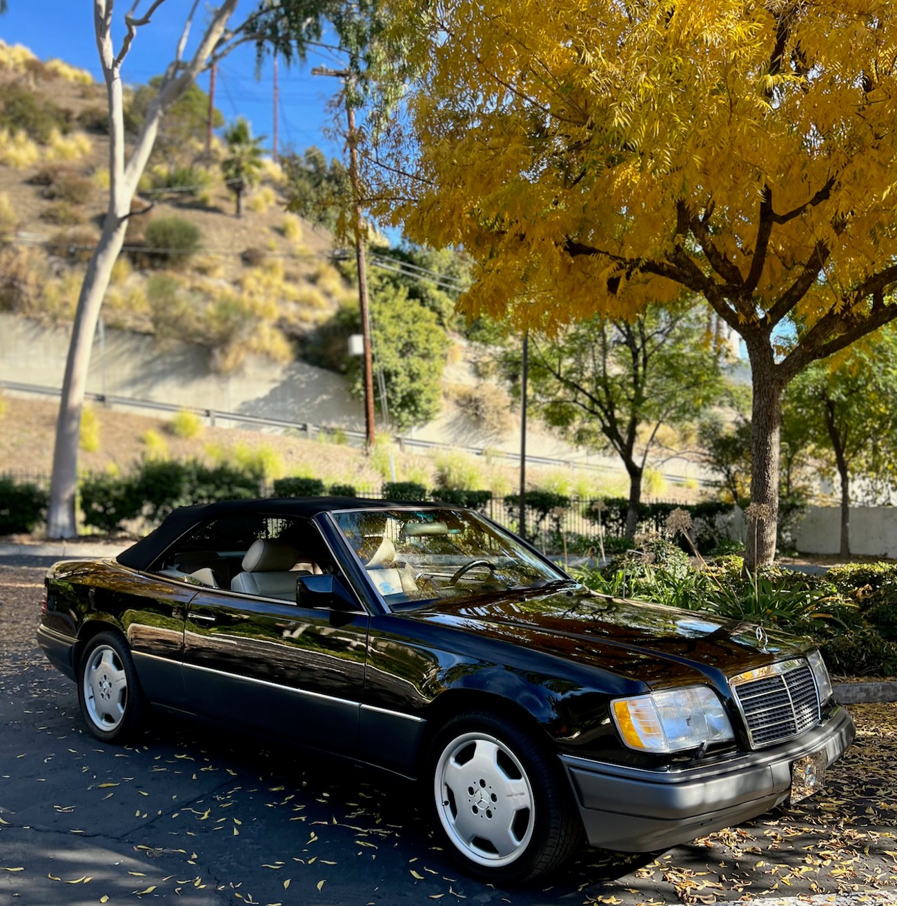 1995 Mercedes-Benz E320 Cabriolet For Sale | The MB Market