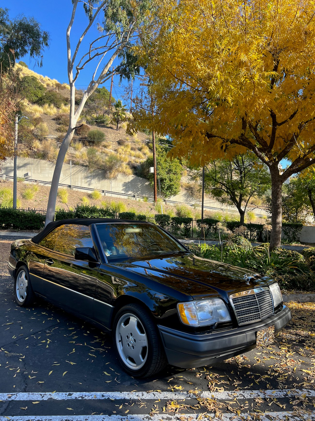1995 Mercedes-Benz E320 Cabriolet For Sale | The MB Market