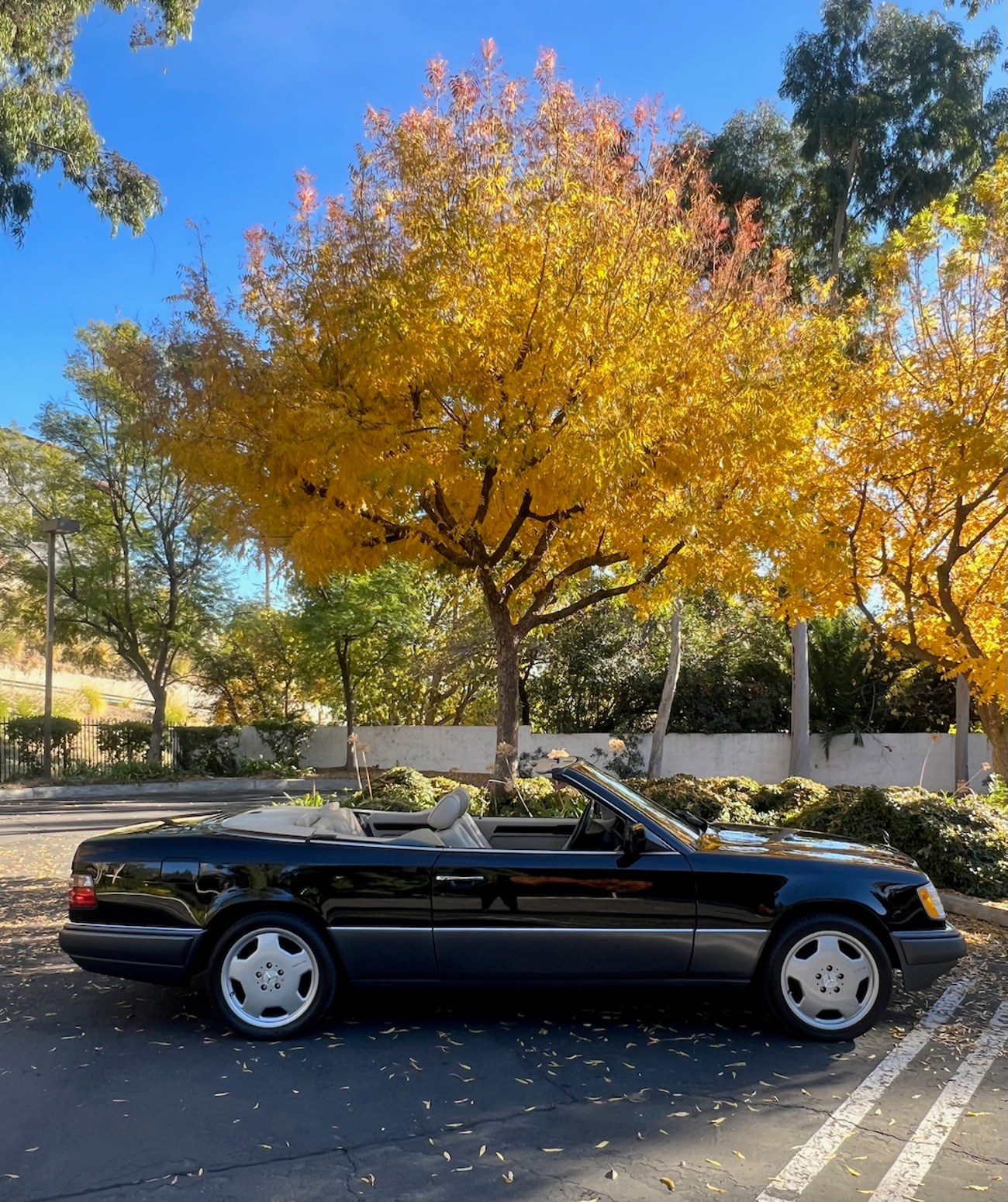 1995 Mercedes-Benz E320 Cabriolet For Sale | The MB Market