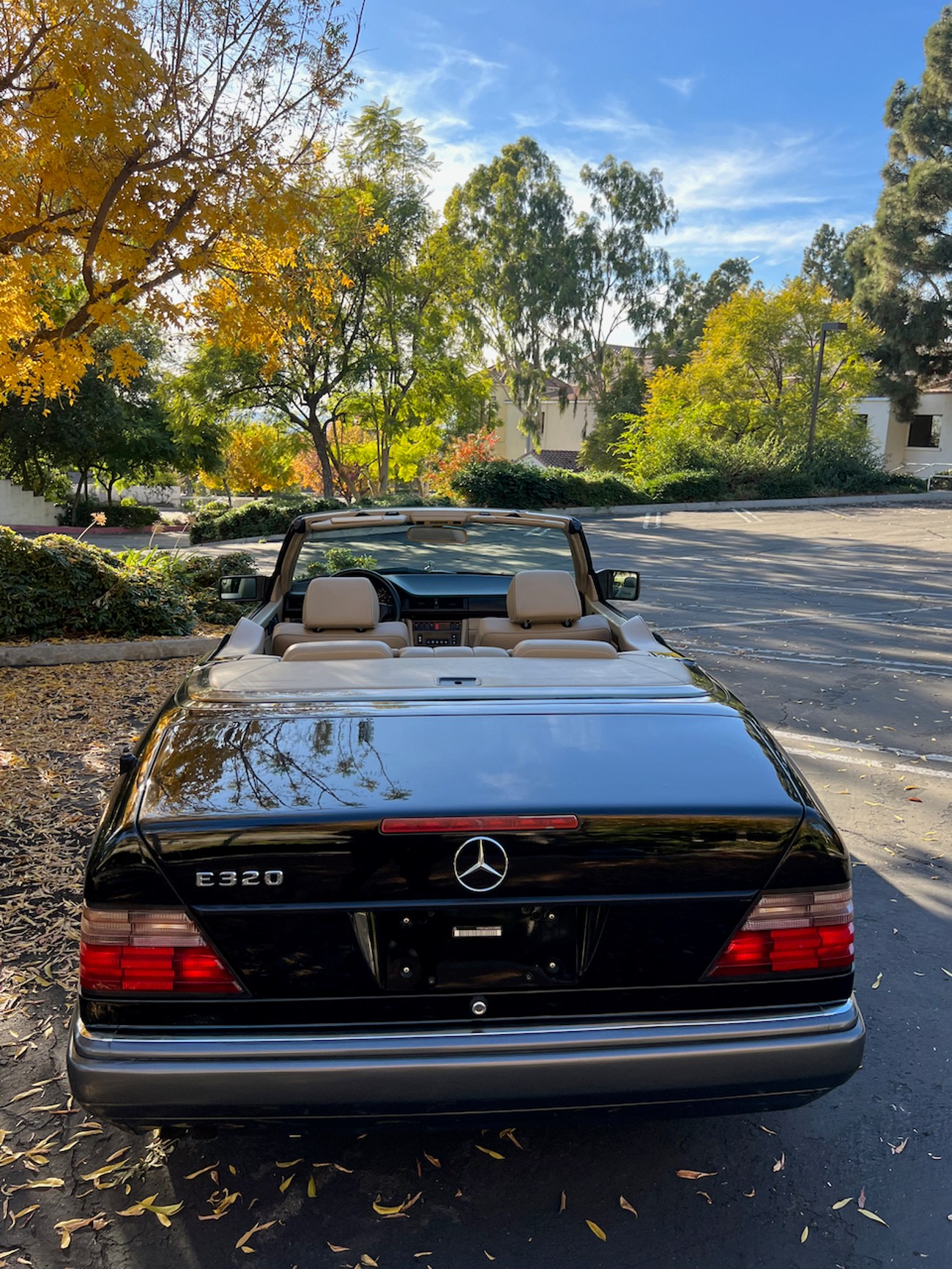 1995 Mercedes-Benz E320 Cabriolet For Sale | The MB Market