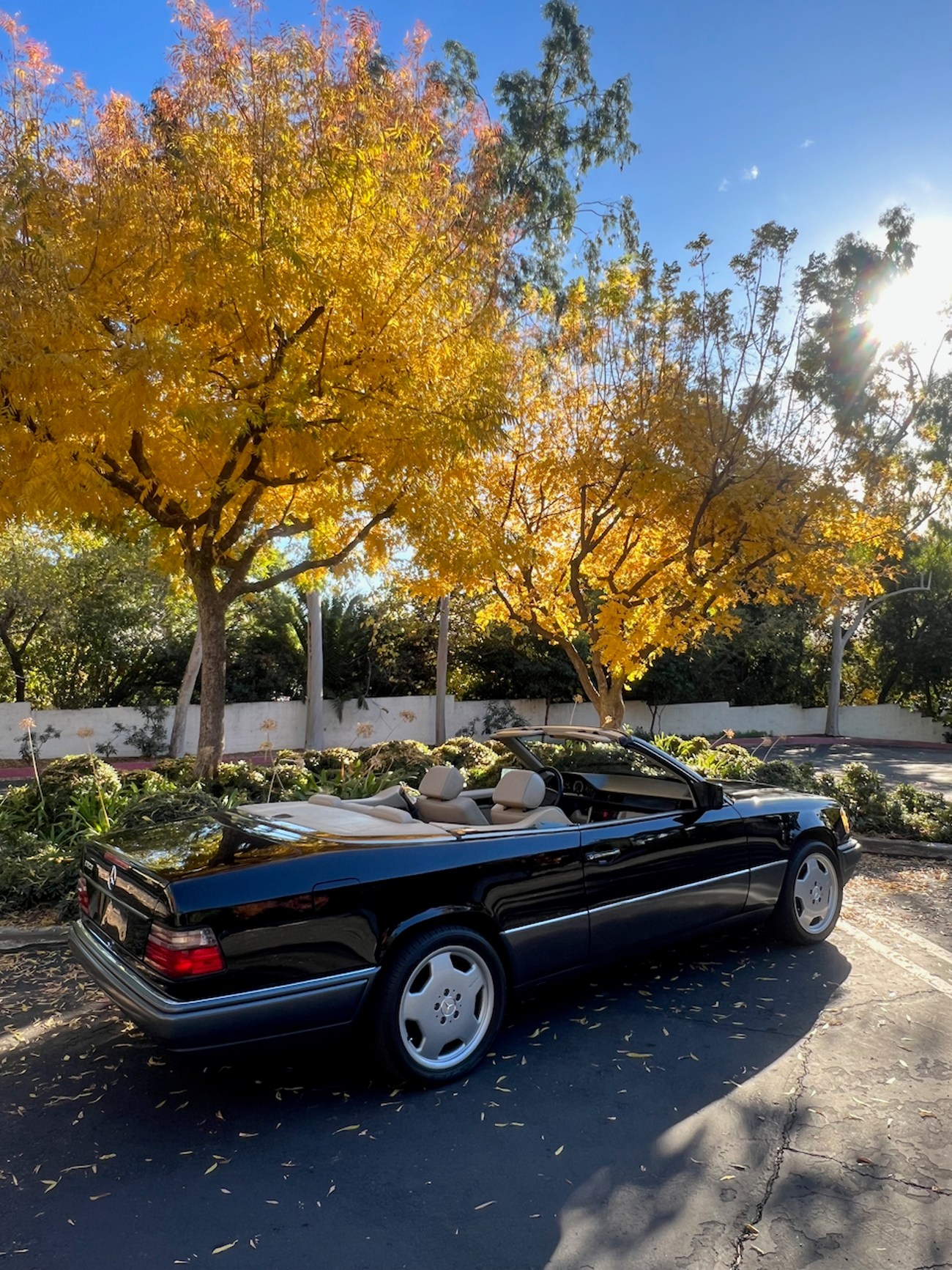 1995 Mercedes-Benz E320 Cabriolet For Sale | The MB Market