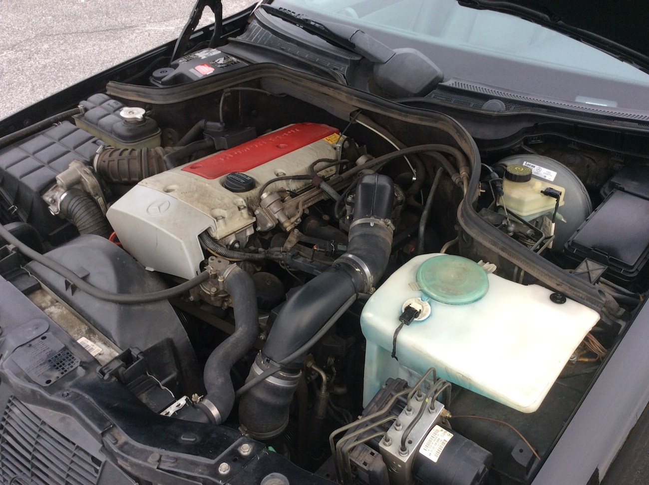 NO RESERVE: 1999 Mercedes-Benz C230 Kompressor For Sale | The MB Market