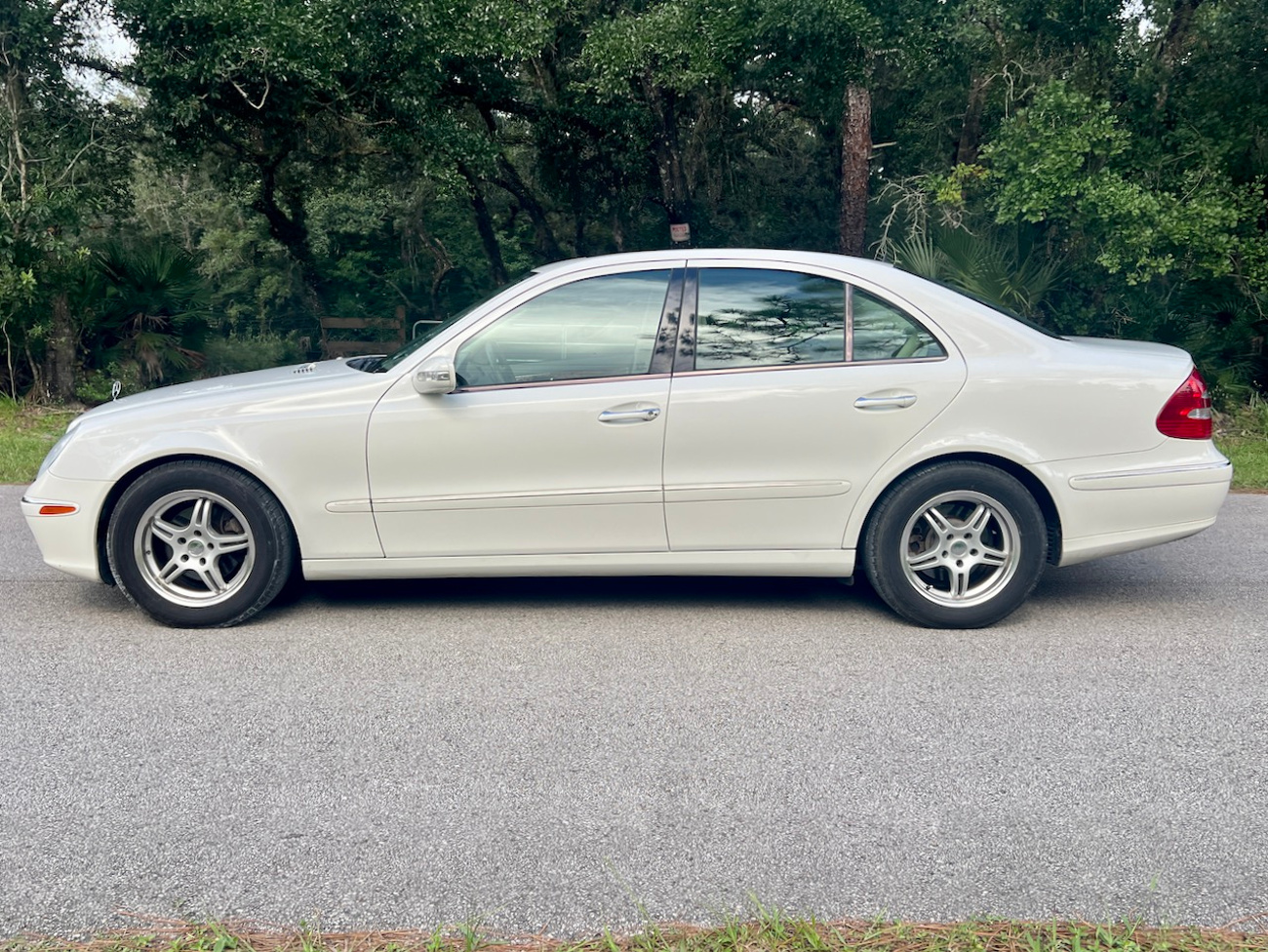 NO RESERVE: 2006 Mercedes-Benz E320 CDI For Sale | The MB Market