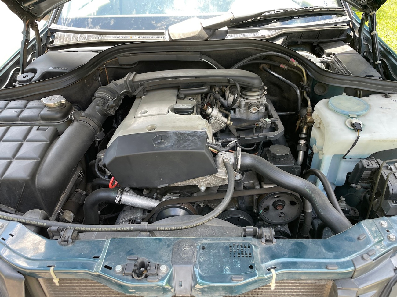 1998 Mercedes-Benz C230 For Sale | The MB Market