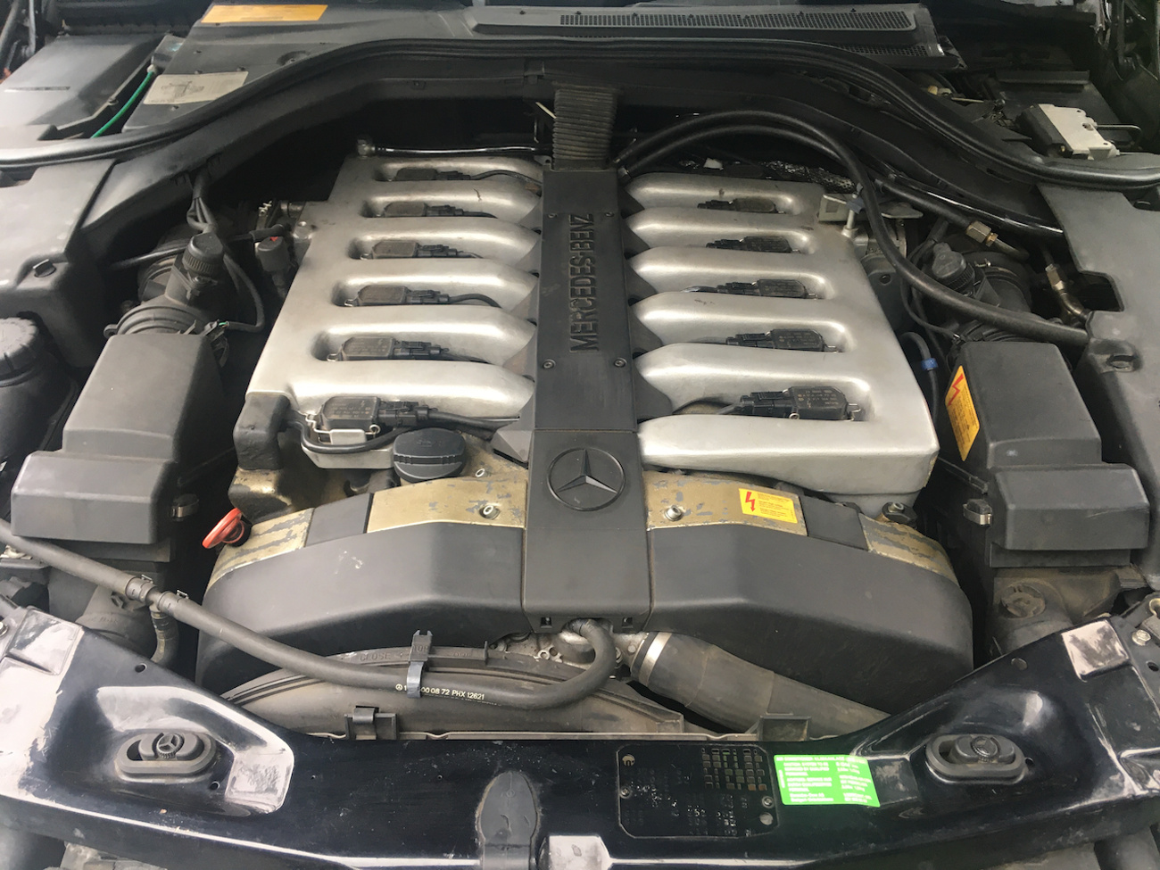 One-Family Owned 1999 Mercedes-Benz S600 For Sale | The MB Market