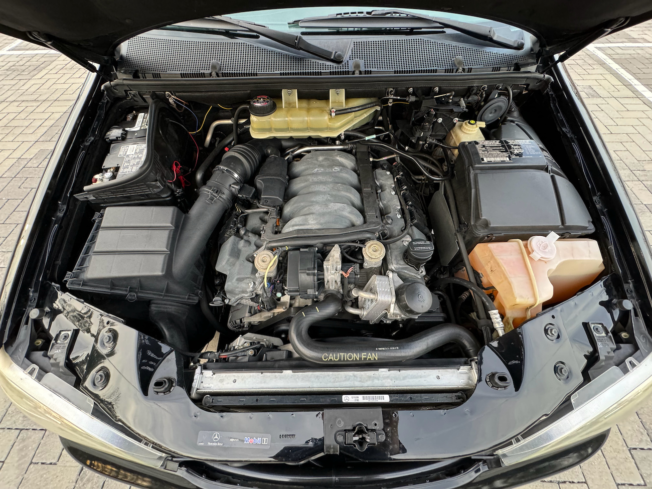 NO RESERVE: 2003 Mercedes-Benz ML500 For Sale | The MB Market