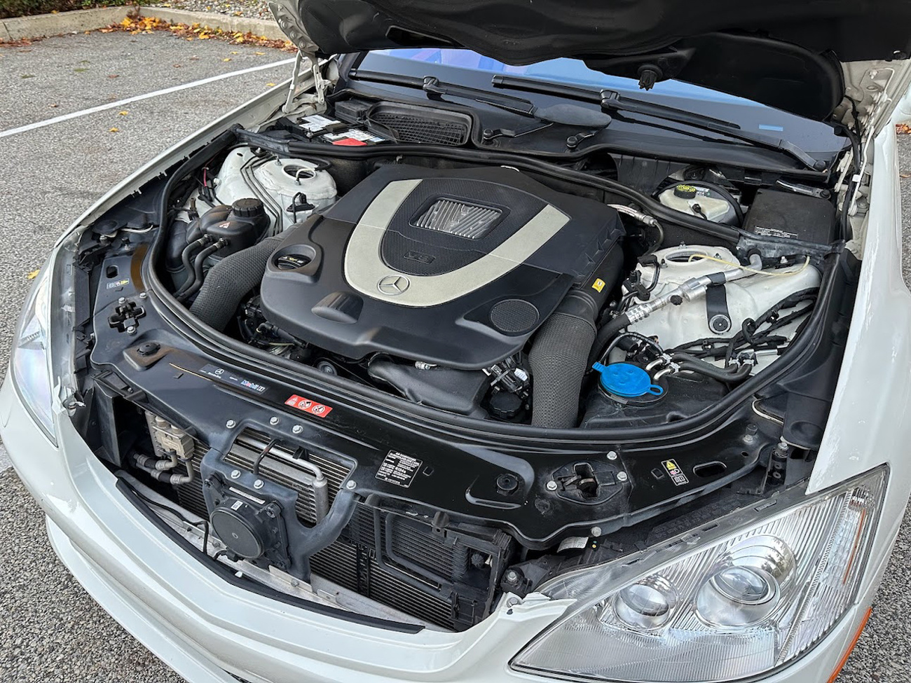 2009 Mercedes-Benz S550 4Matic Designo For Sale | The MB Market