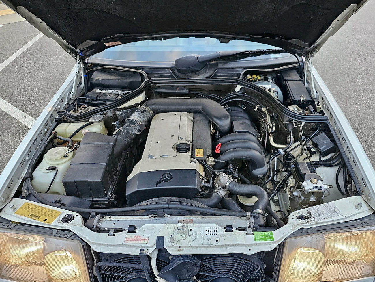 1995 Mercedes Benz E320 Coupe For Sale | The MB Market
