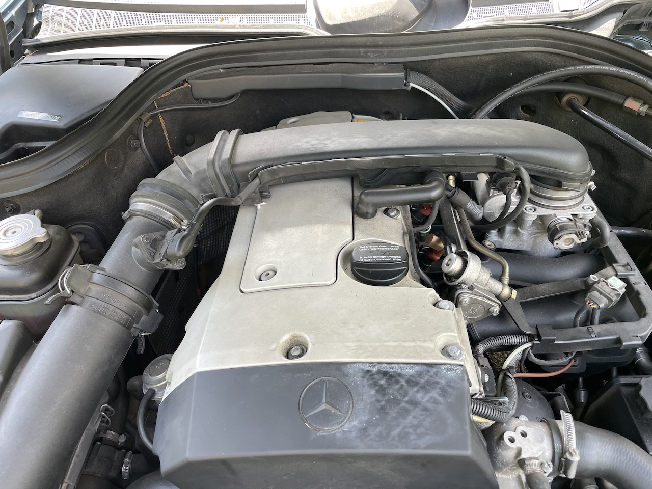 1998 Mercedes-Benz C230 For Sale | The MB Market