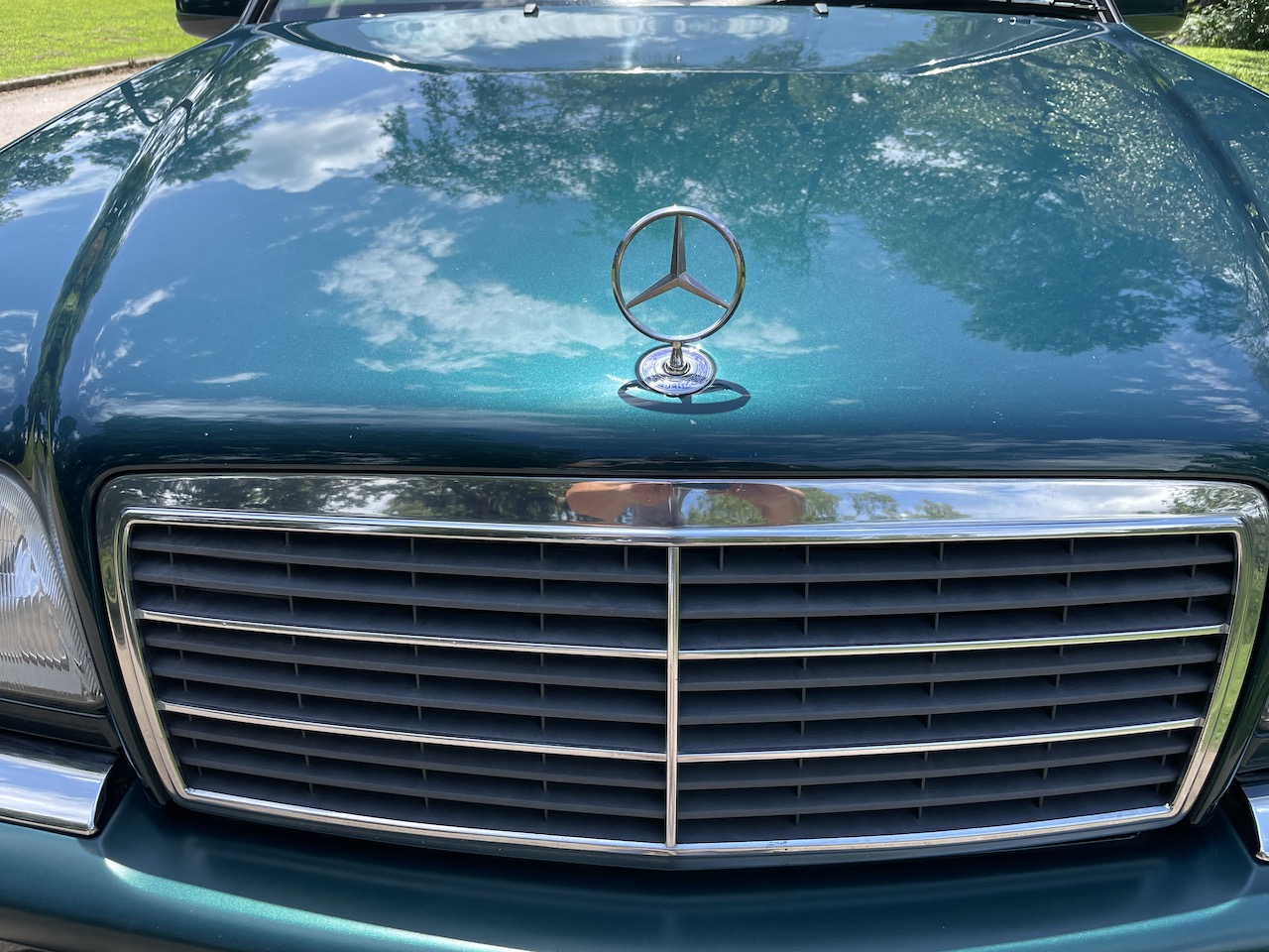 1998 Mercedes-Benz C230 For Sale | The MB Market