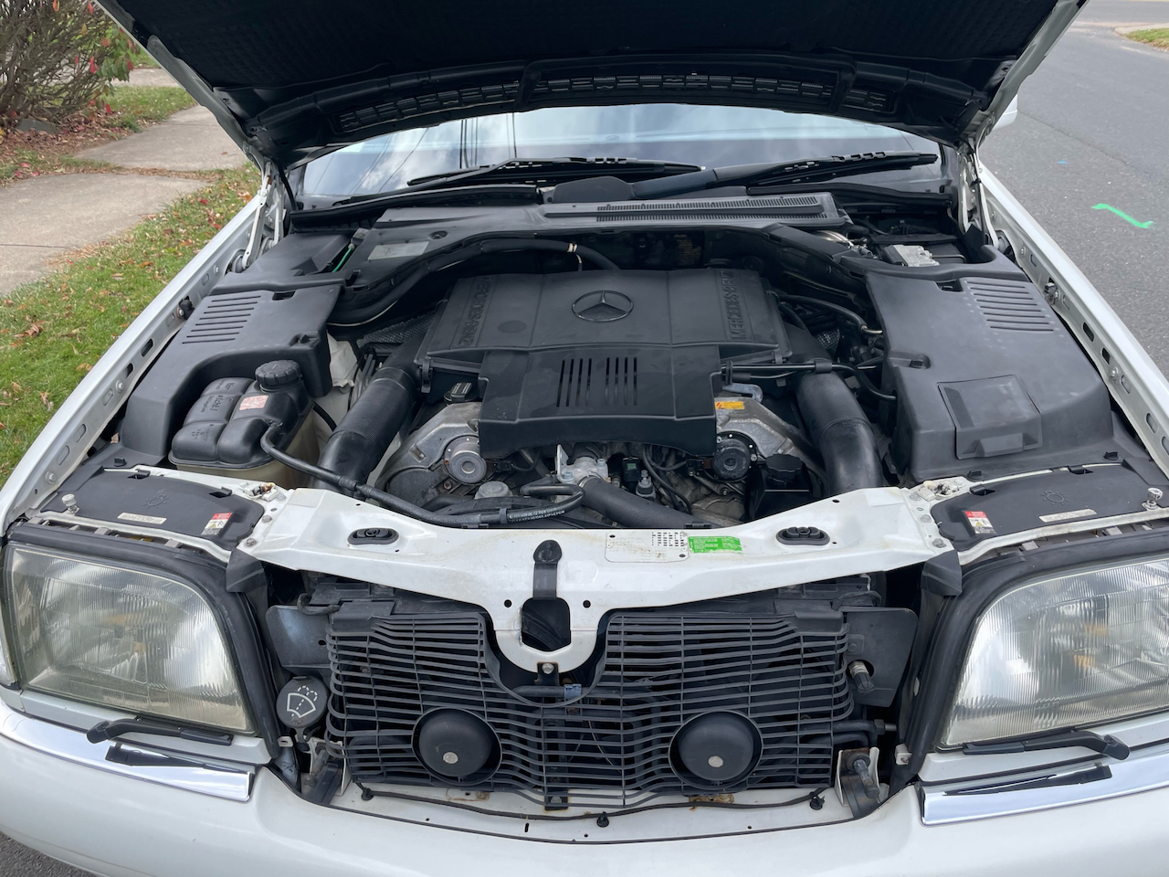 NO RESERVE: 1997 Mercedes-Benz S420 For Sale | The MB Market