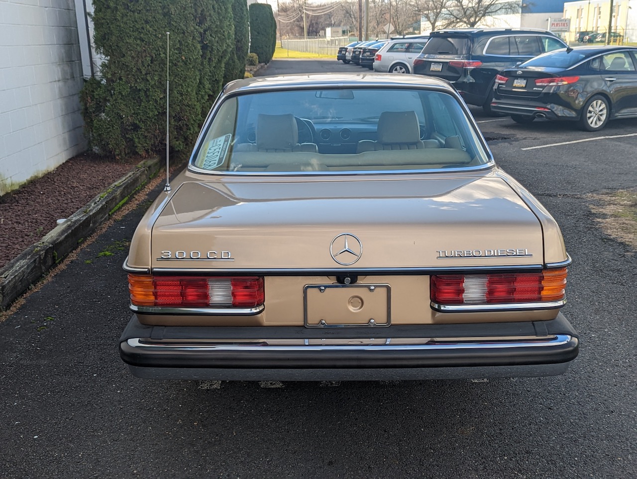 Modified 1983 Mercedes-Benz 300CD Turbo For Sale | The MB Market